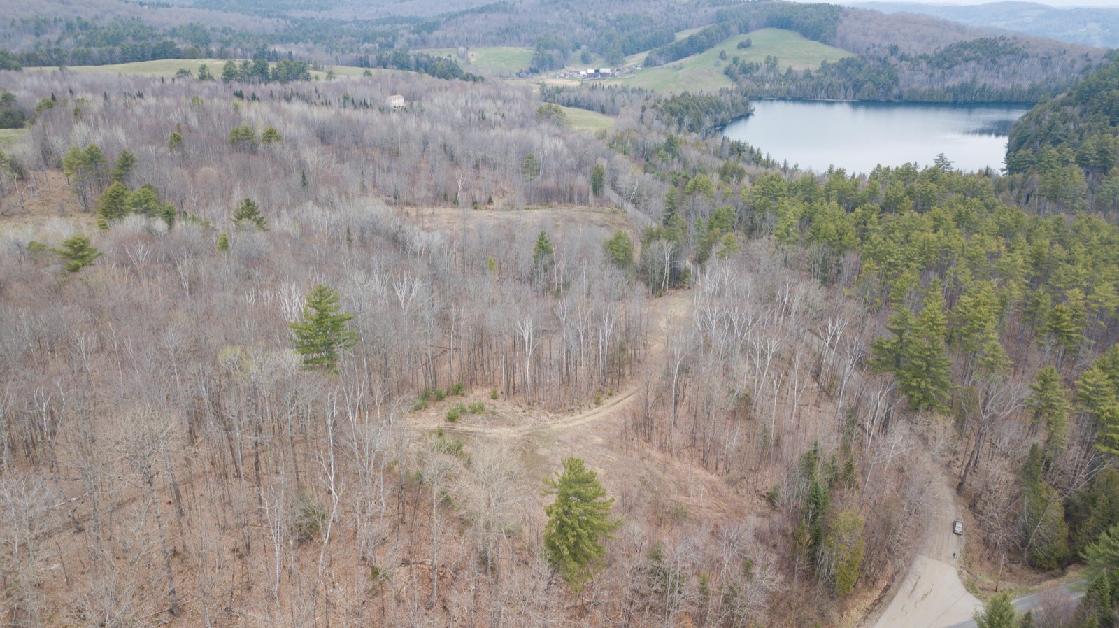 Berry's Forest Products, Vermont (VT) and New Hampshire (NH) Forestry ...